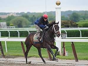 Ride On Curlin - Horse Profile - BloodHorse