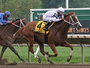 Lady Alexander - Horse Profile - BloodHorse