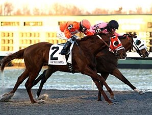 Plenty of Options in 12-Horse Canadian Derby - BloodHorse