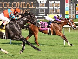 Battle of Hastings Wins Colonial Turf Duel - BloodHorse