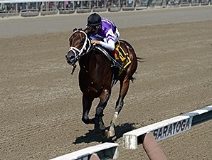 Competitive Edge - Horse Profile - BloodHorse