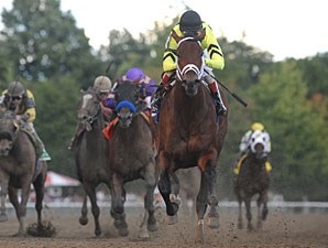 Quality Road - Horse Profile - BloodHorse