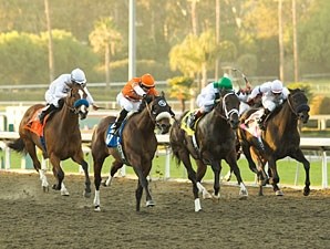 Cowboy Cal - Horse Profile - BloodHorse