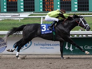 Mission Impazible - Horse Profile - BloodHorse