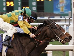 Bubbler - Horse Profile - BloodHorse