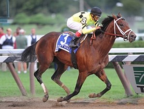 Quality Road - Horse Profile - BloodHorse