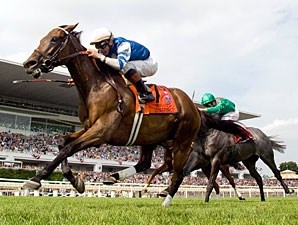 Dynaforce - Horse Profile - BloodHorse