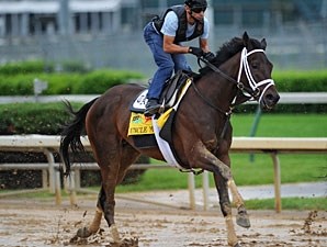 Uncle Mo - Horse Profile - BloodHorse