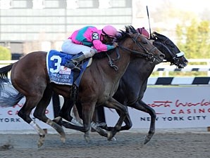 Jackson Bend - Horse Profile - BloodHorse