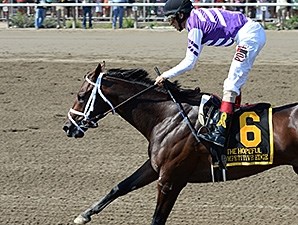 Competitive Edge - Horse Profile - BloodHorse