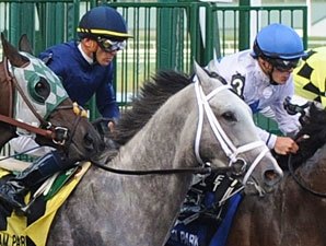Ky. Derby Trail: Derby Dynamics - BloodHorse