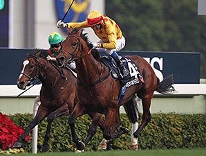 Akeed Mofeed Takes HK Cup; Little Mike 9th - BloodHorse