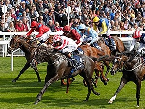 Sole Power (GB) - Horse Profile - BloodHorse