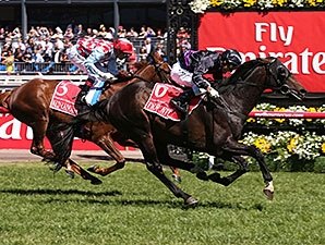 Fiorente Wins Melbourne Cup Over Red Cadeaux - BloodHorse