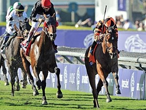 Little Mike - Horse Profile - BloodHorse