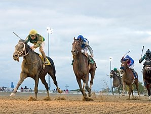 Pool Play - Horse Profile - BloodHorse