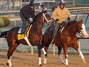 Uncle Mo - Horse Profile - BloodHorse