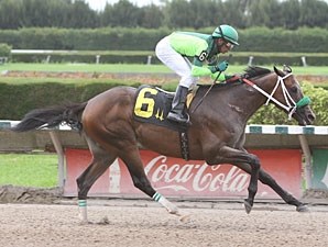 Imperial Czar - Horse Profile - BloodHorse