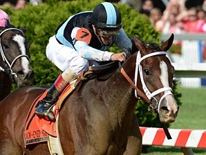 In Lingerie, Pletcher Top Black-Eyed Susan - BloodHorse