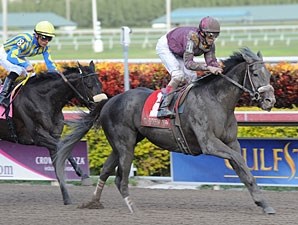 Jackson Bend - Horse Profile - BloodHorse