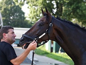 Paynter Heads $1 Million Haskell Invitational - BloodHorse