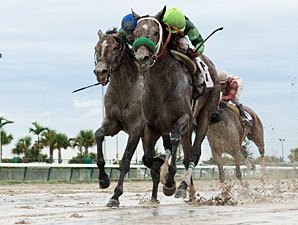 Imperial Czar Wins Off-the-Turf Miami Mile - BloodHorse