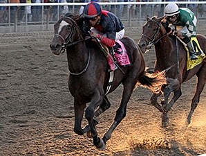 Tonalist - Horse Profile - BloodHorse