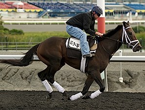 Jack Milton - Horse Profile - BloodHorse