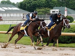 Uncle Mo - Horse Profile - BloodHorse