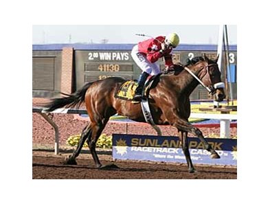 Peppers Pride Runs for Record at SunRay - BloodHorse