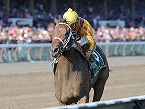 Cavorting - Horse Profile - BloodHorse