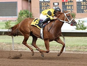 Hennesey Smash - Horse Profile - BloodHorse