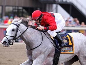 Careless Jewel - Horse Profile - BloodHorse