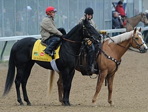 Archarcharch - Horse Profile - BloodHorse
