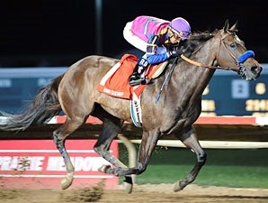 Fast Fillies Lined Up for Chilukki Stakes - BloodHorse
