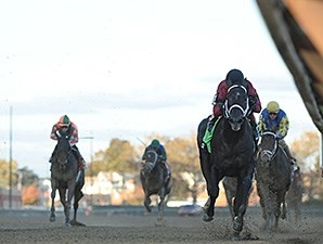 Cairo Prince - Horse Profile - BloodHorse