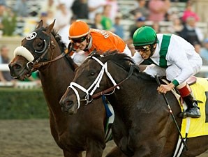 Cowboy Cal - Horse Profile - BloodHorse
