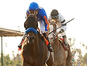 Game On Dude - Horse Profile - BloodHorse