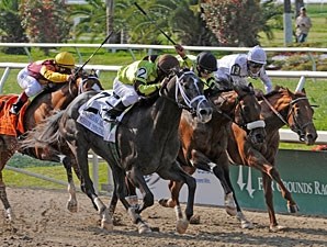 Mission Impazible - Horse Profile - BloodHorse