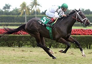 Cowboy Cal - Horse Profile - BloodHorse