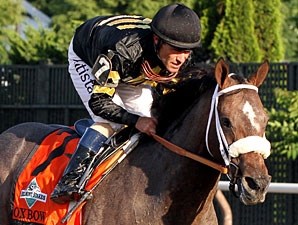 Oxbow - Horse Profile - BloodHorse