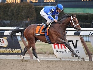 Alpha - Horse Profile - BloodHorse