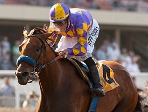 Switch - Horse Profile - BloodHorse