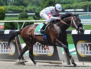 Trickmeister - Horse Profile - BloodHorse