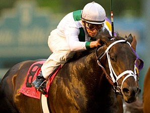 Cowboy Cal - Horse Profile - BloodHorse