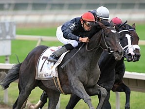 Gone Astray - Horse Profile - BloodHorse