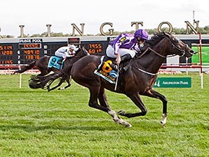 Adelaide (IRE) - Horse Profile - BloodHorse