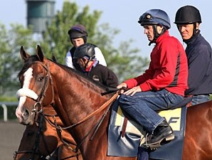 Union Rags - Horse Profile - BloodHorse