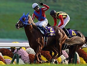 Toho Jackal Streaks to Course Record at Kyoto - BloodHorse