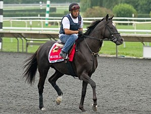 Willcox Inn - Horse Profile - BloodHorse